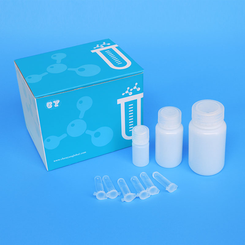 Magnetic Bead Based Nucleic Acid Purification Kit Dna Rna Extraction