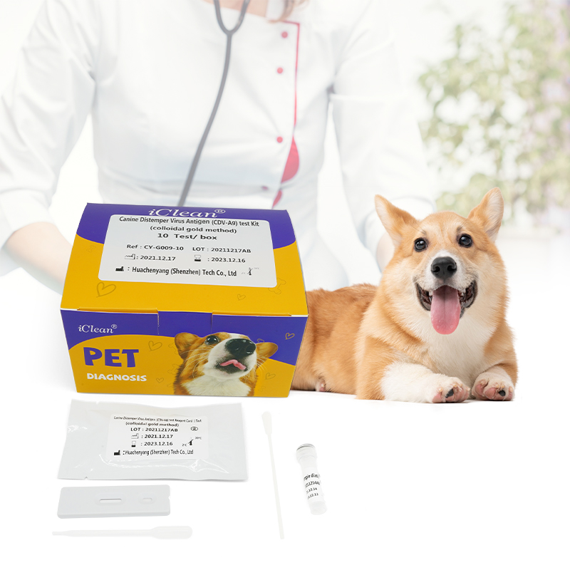 Canine Coronavirus Antigen Test Kit (CCV-Ag): colloidal gold - HUACHENYANG