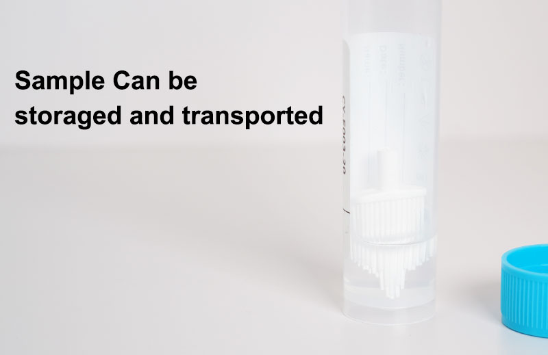 HPV Swab, HPV Collection Kit - A professional supplier of swabs