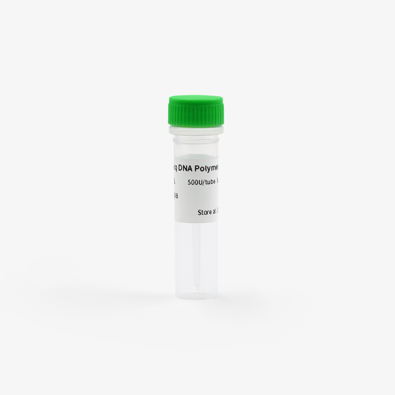 HCY™ Taqman qPCR Master Mix (2×) - A professional supplier of swabs